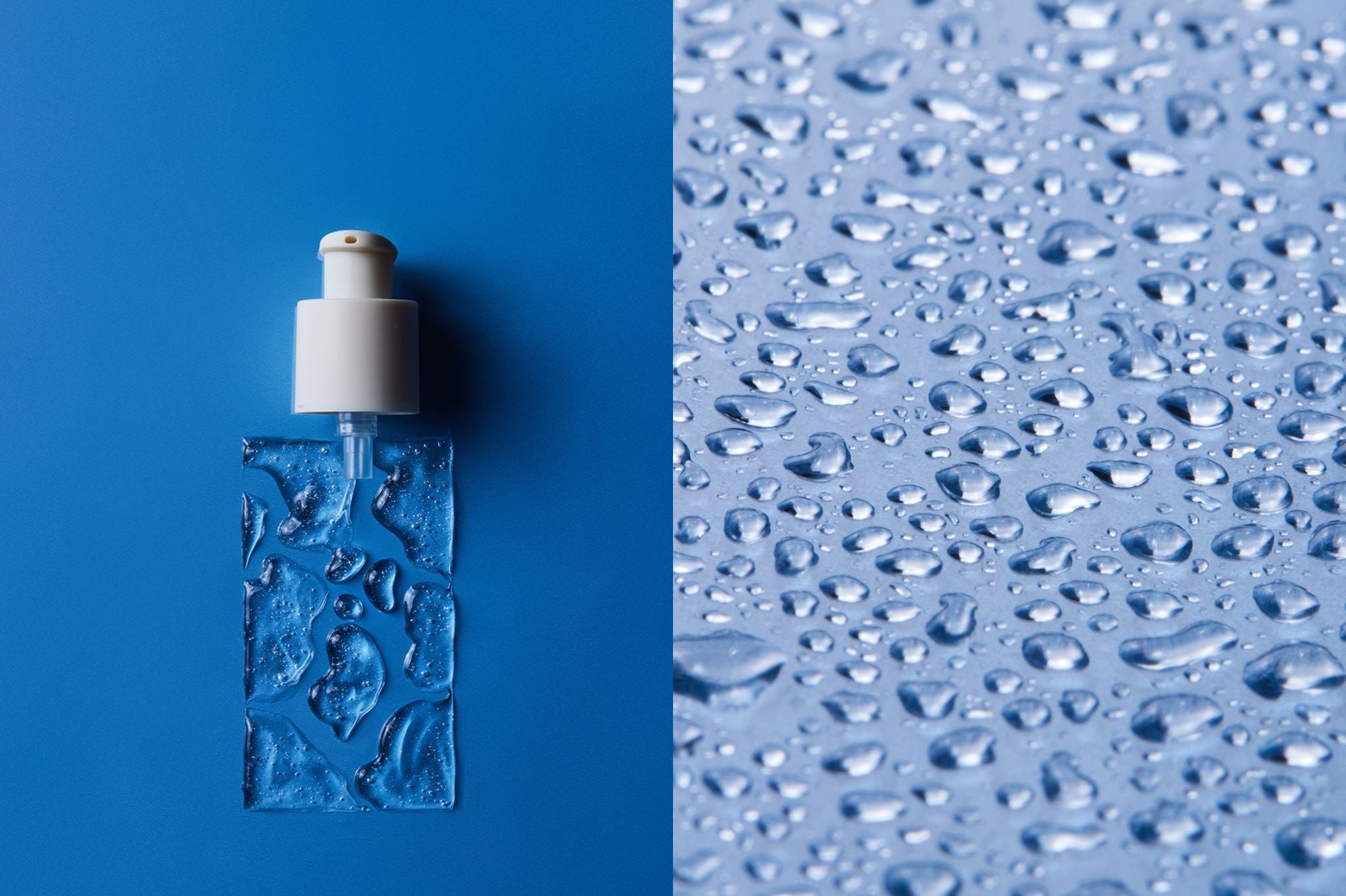 Ingredient Checker – Personal Day